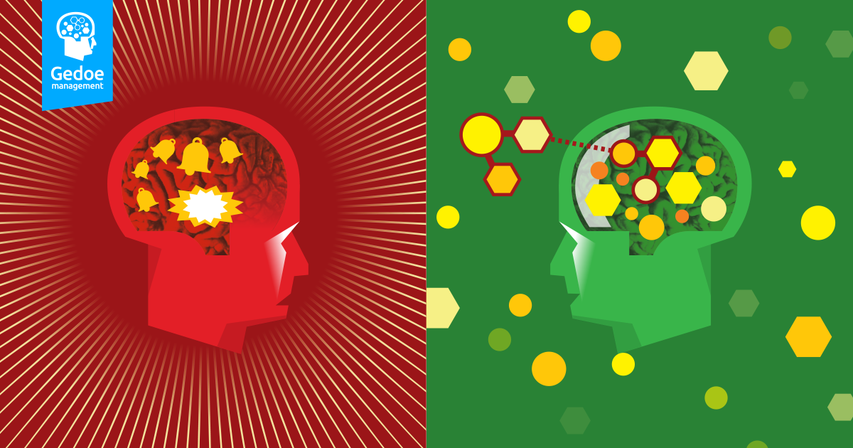 Rood en groen brein | Gedoemanagement